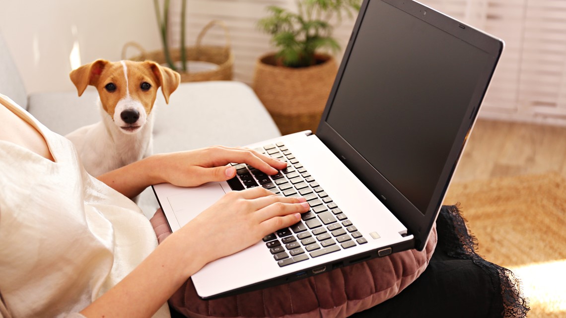 How COVID continues to impact remote working | wqad.com