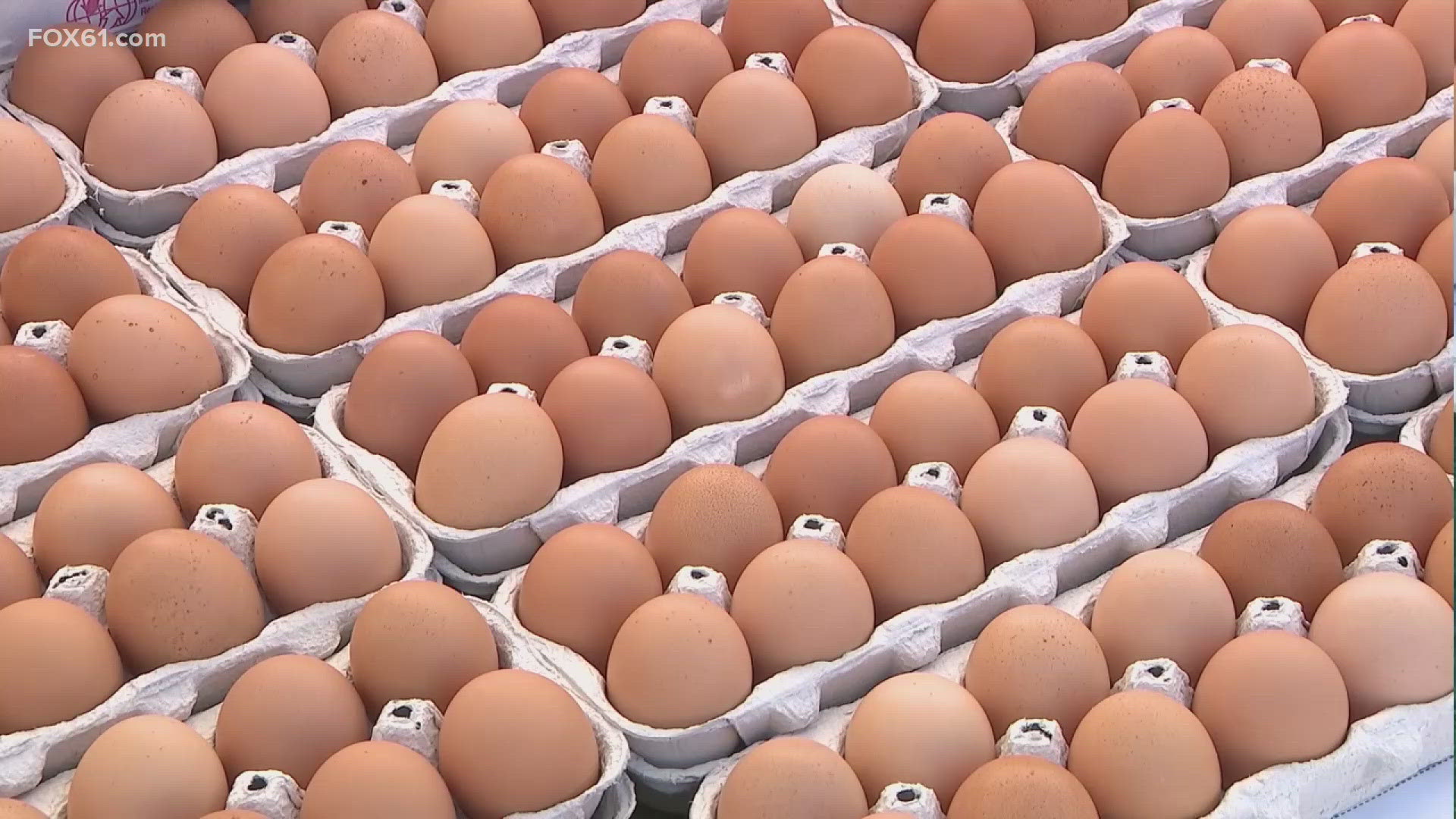 CPI report: January inflation report provides update on consumer costs ...