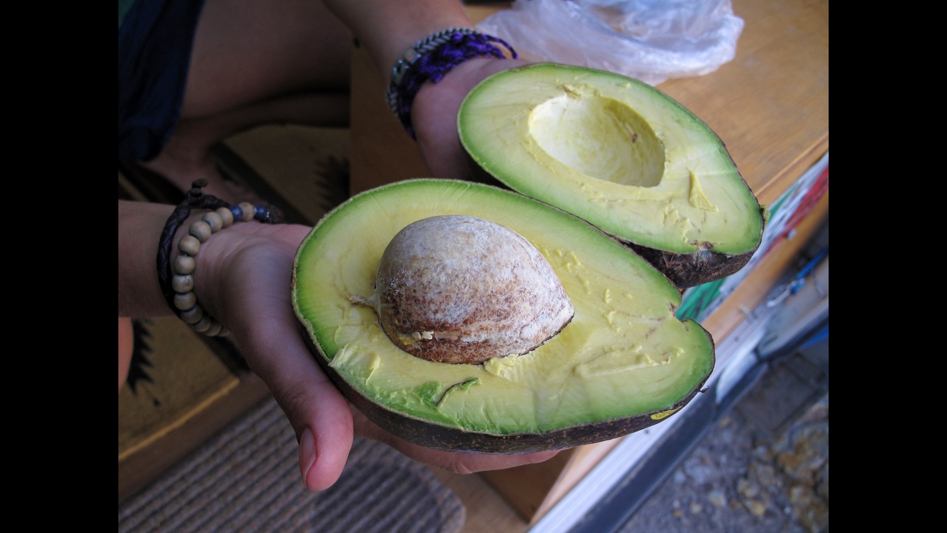 Big avocado earns Hawaii family Guinness World Records honor | fox61.com