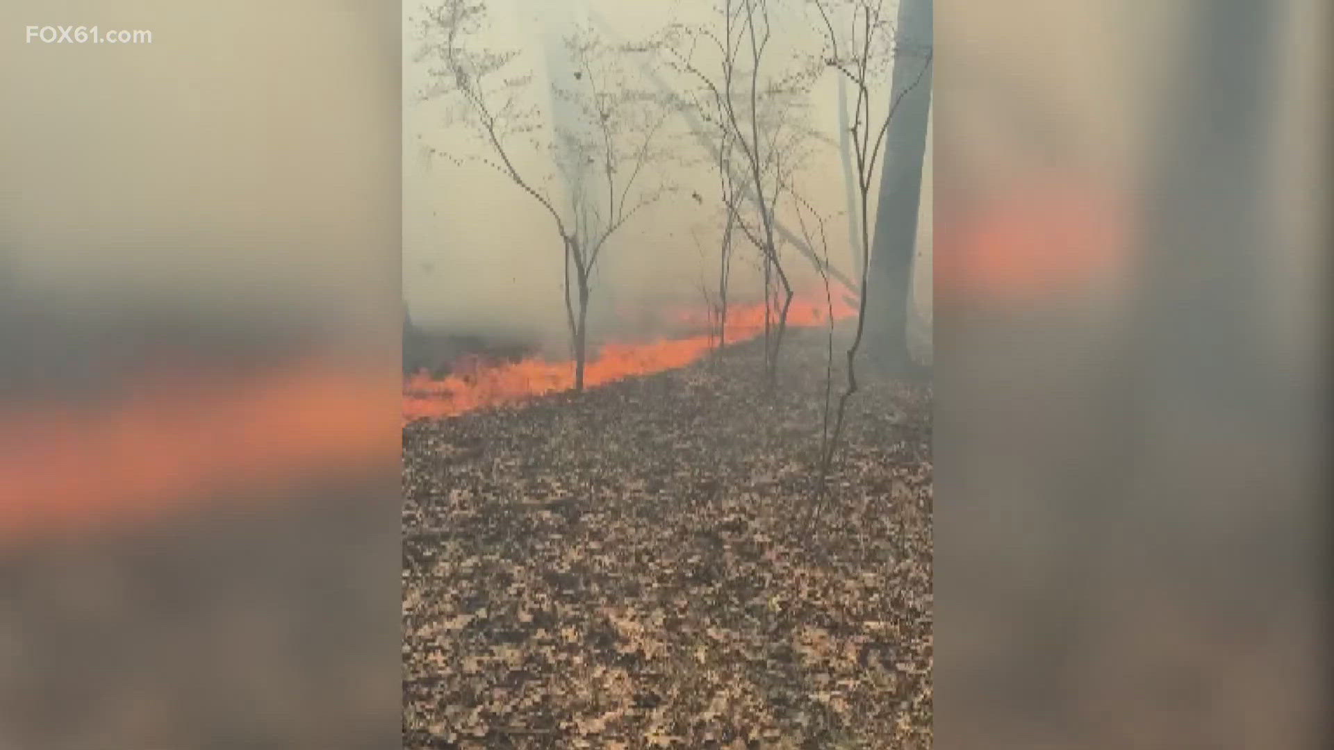 Nearly 4-acre brush fire at CT National Golf Club under investigation ...