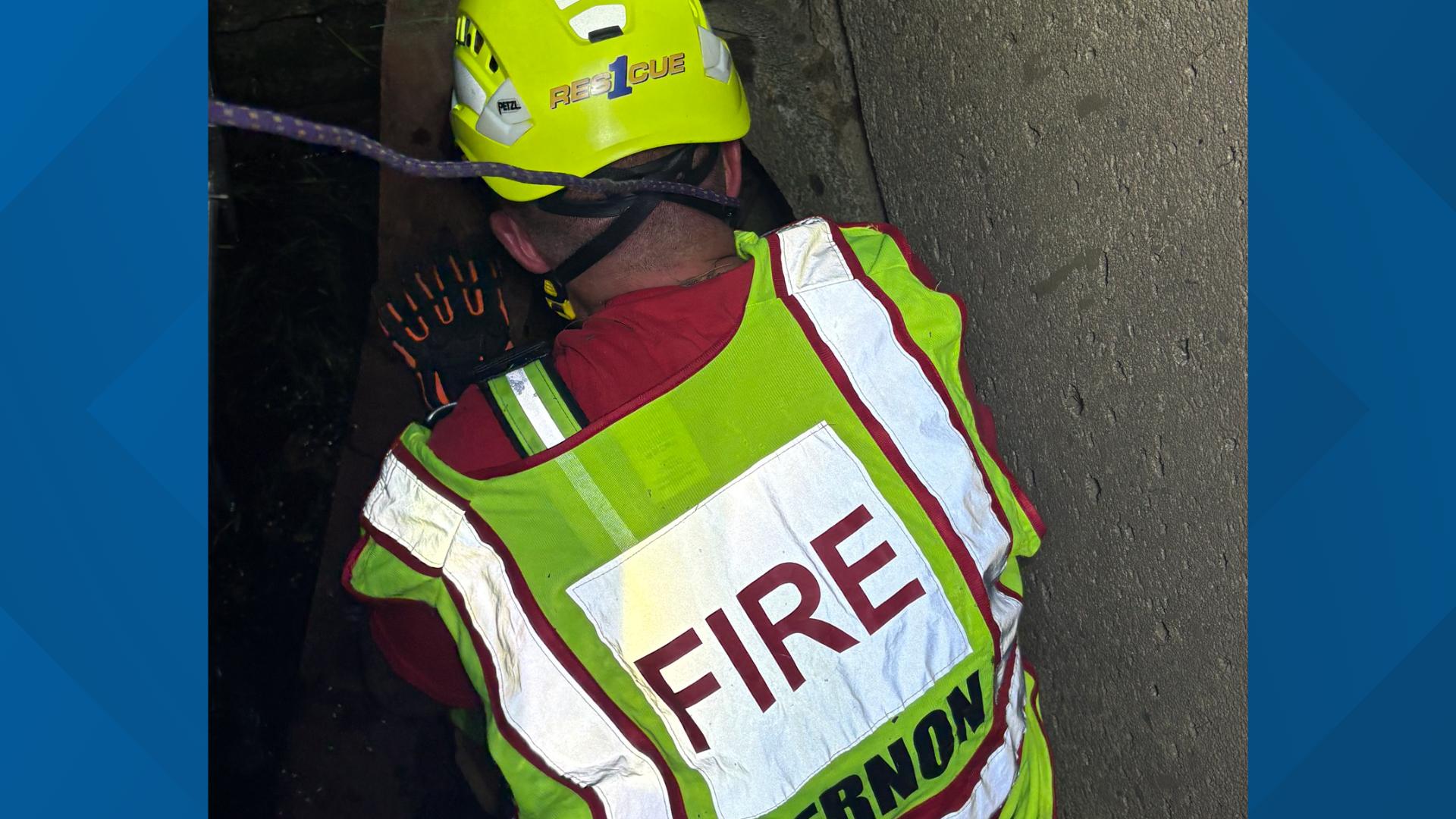 Tiny ducklings, big rescue: Vernon firefighters brave storm drain to ...