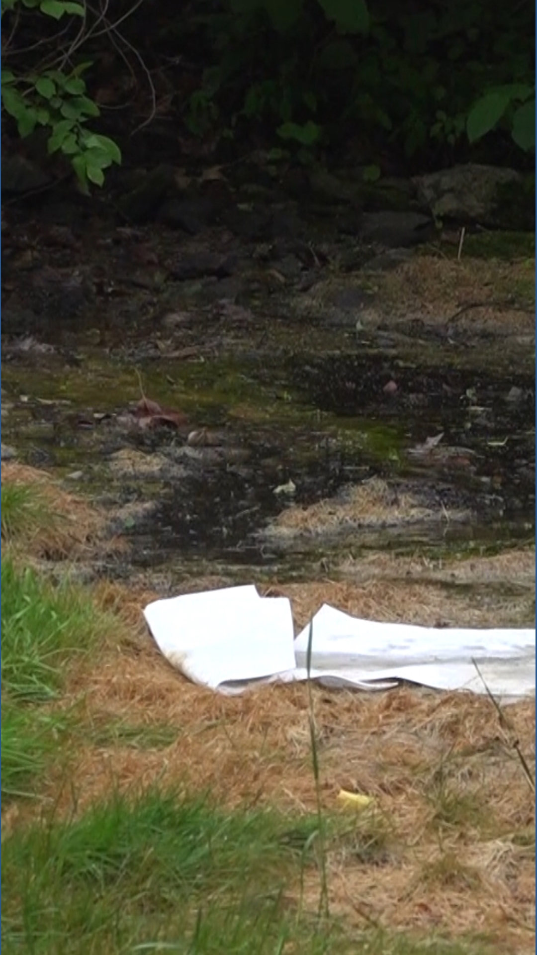 Waterbury home oil leak threatens local waterways | fox61.com