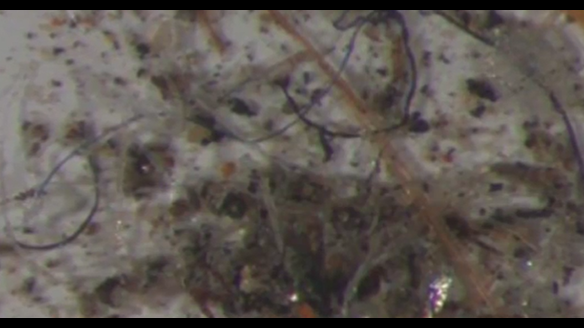 Scientist studying nitrogen inadvertently finds microplastics–in ...