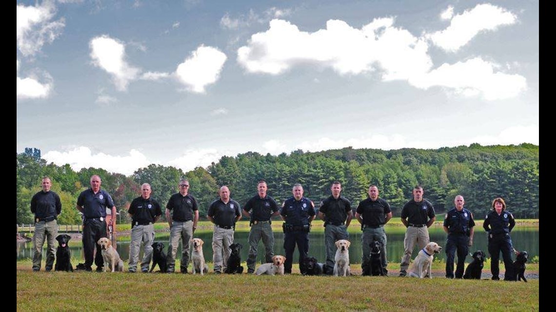 12 K9 dogs and their handlers graduate after weeks of training | fox61.com