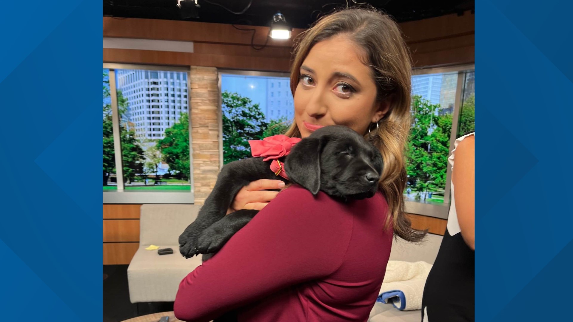 FOX61 viewers vote for name of NEADS service dog in training | fox61.com