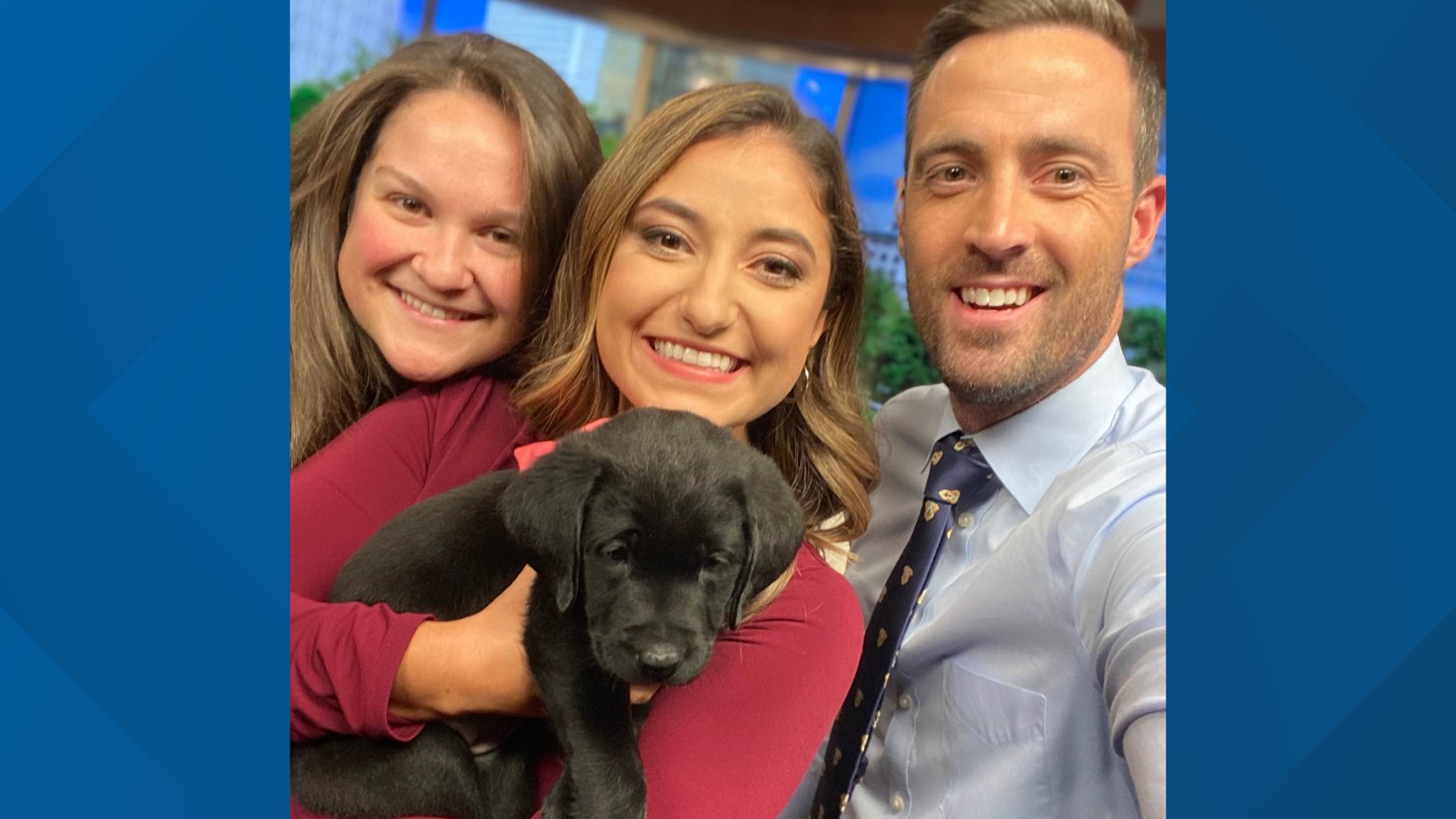 FOX61 viewers vote for name of NEADS service dog in training | fox61.com