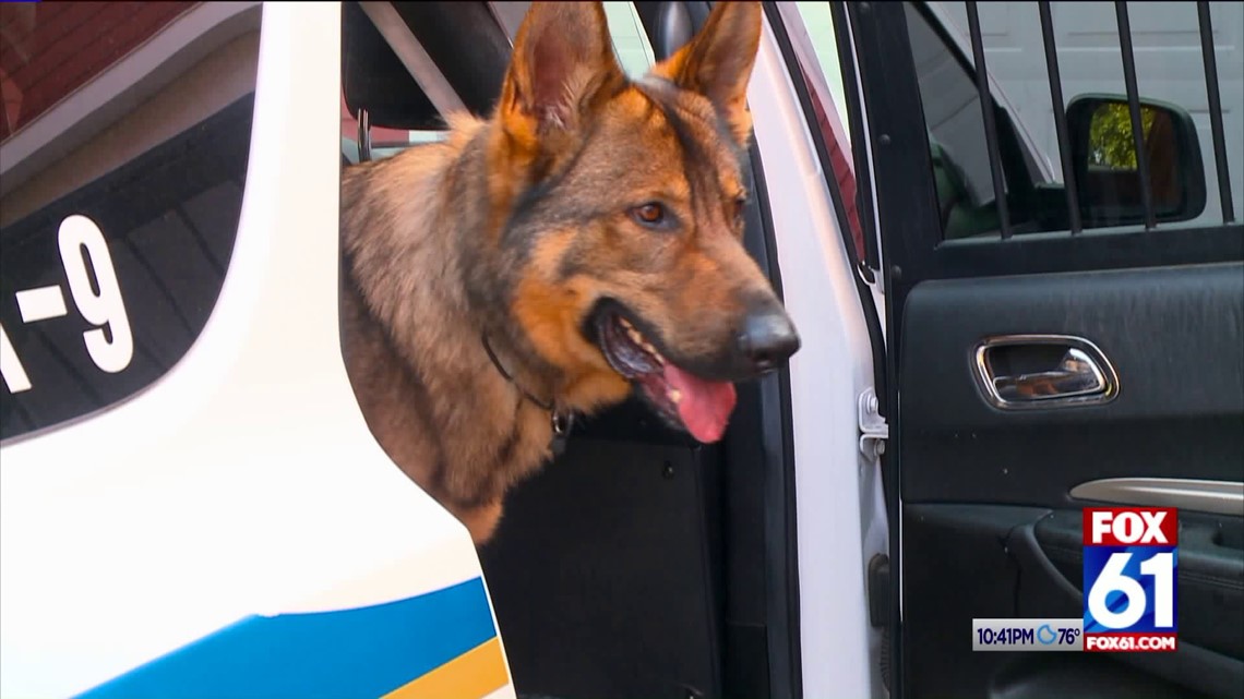 Story of Clinton police officer and K9 partner goes viral | fox61.com