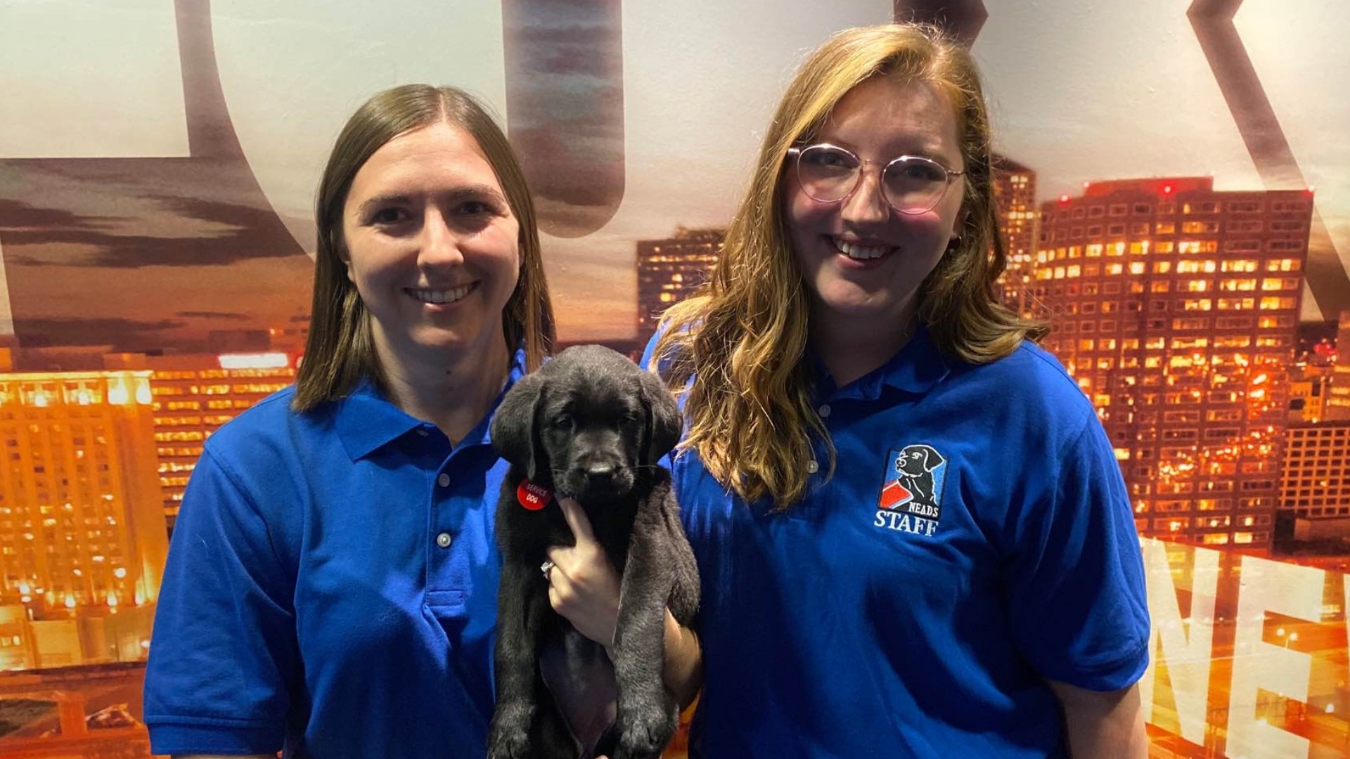 FOX61 viewers vote for name of NEADS service dog in training | fox61.com