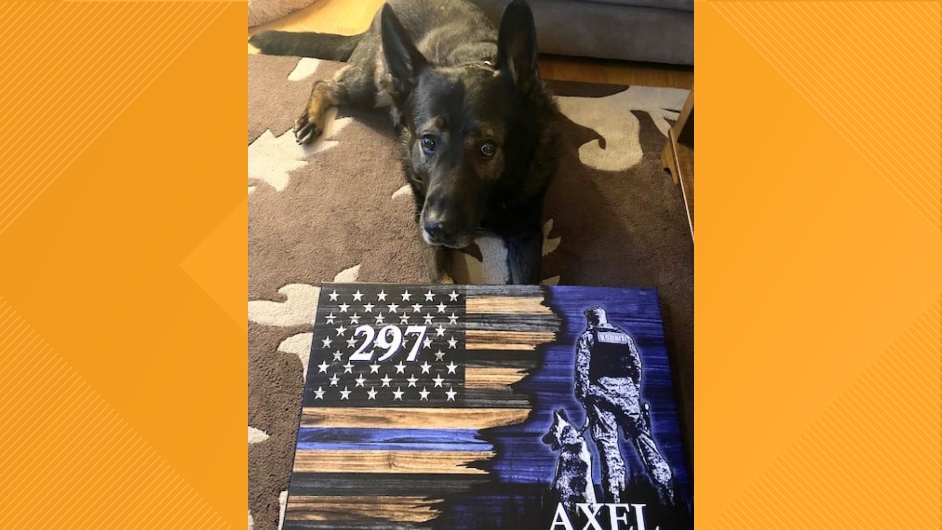 Police place memorial outside station for fallen K9 officer | fox61.com