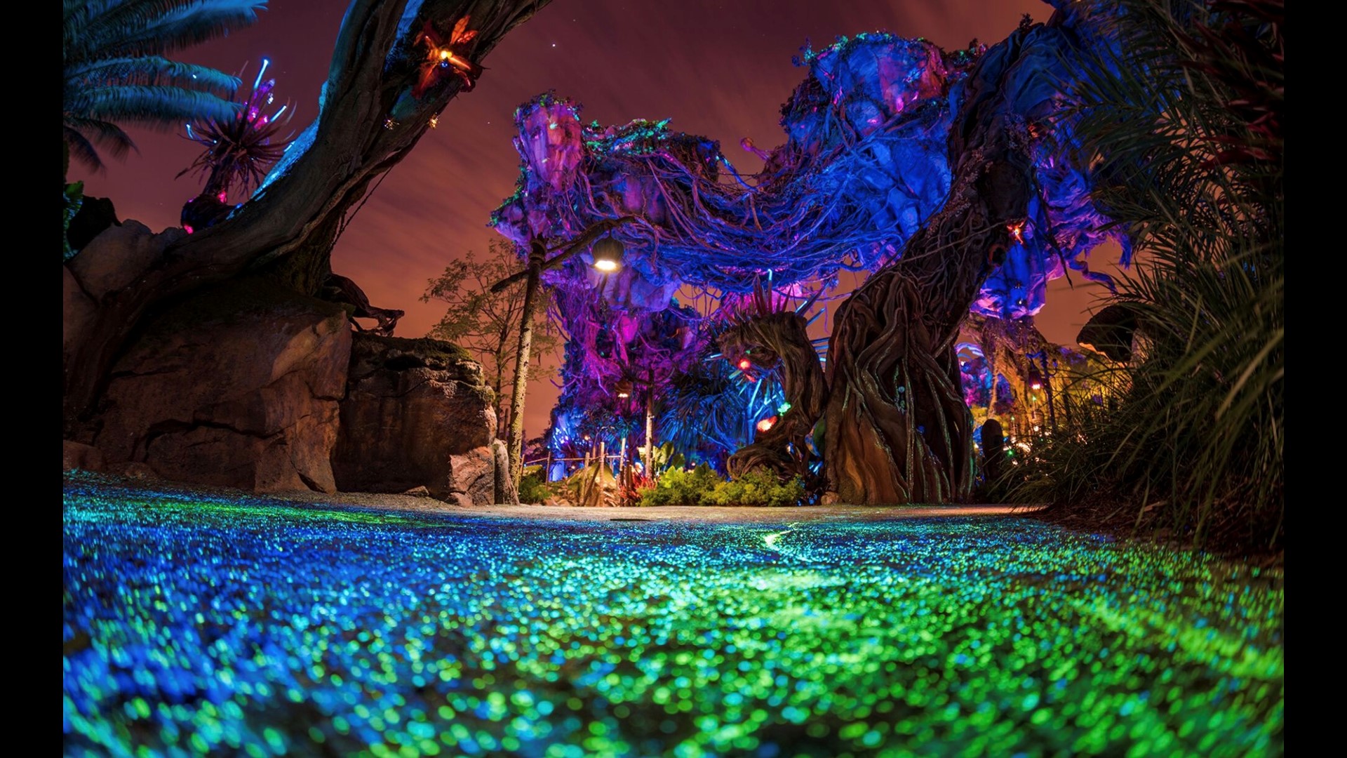 13 stunning photos of Disney’s ‘Pandora: The World of Avatar’ at night ...