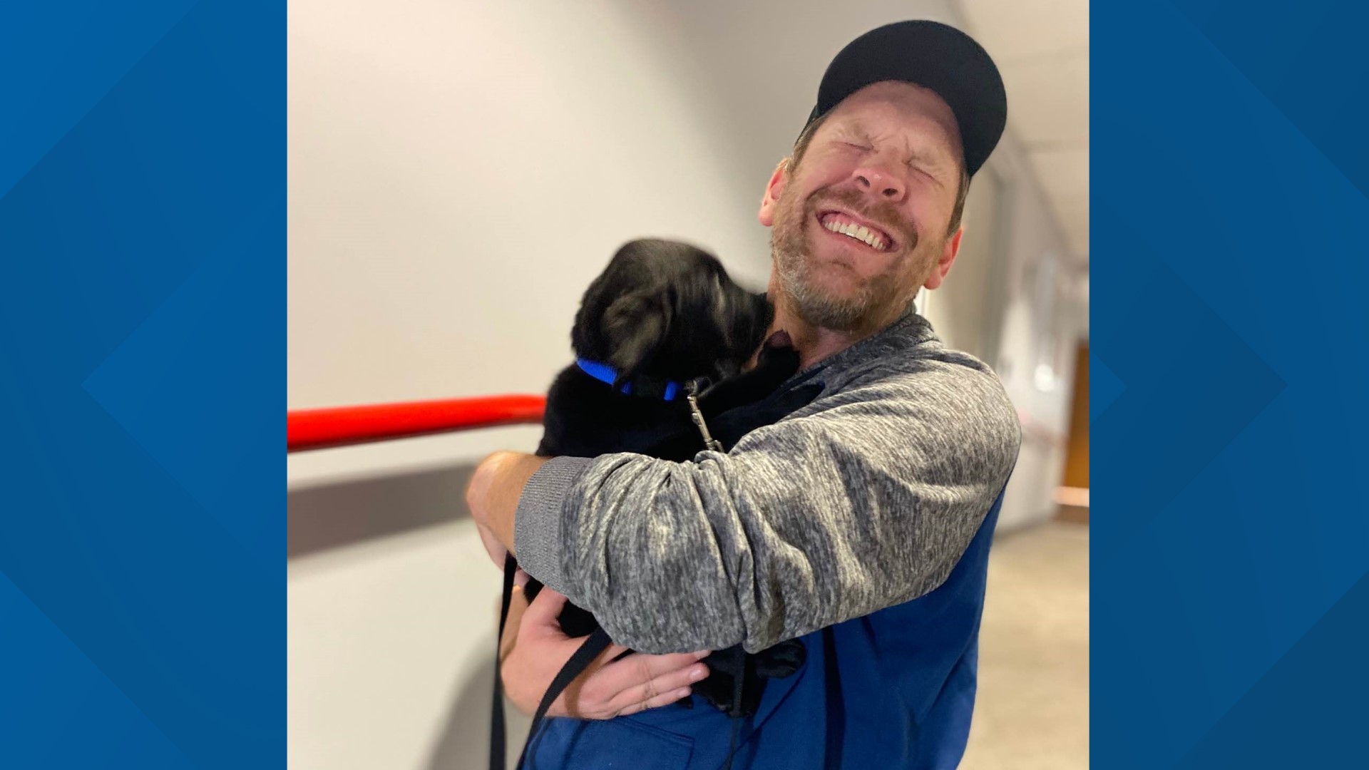 FOX61 viewers vote for name of NEADS service dog in training | fox61.com