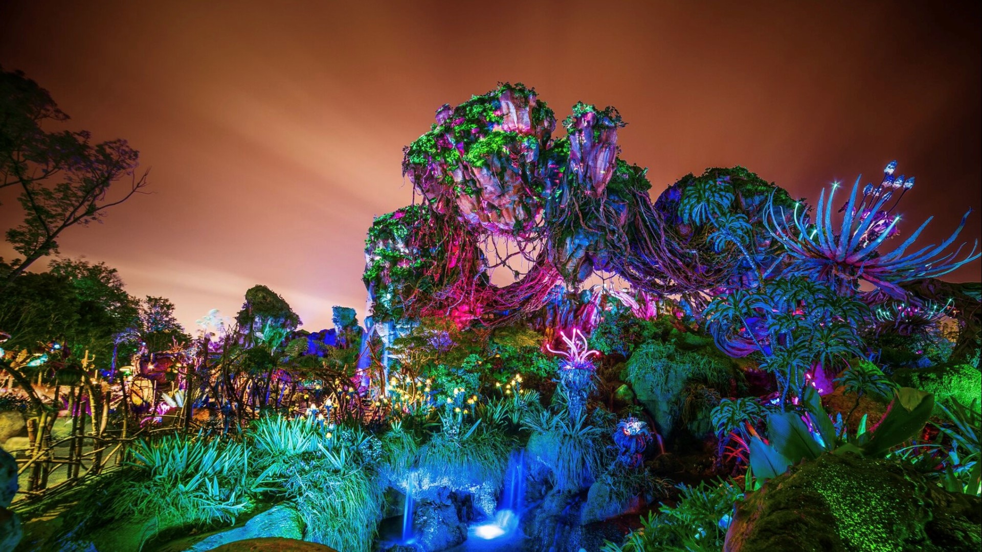 13 stunning photos of Disney’s ‘Pandora: The World of Avatar’ at night ...
