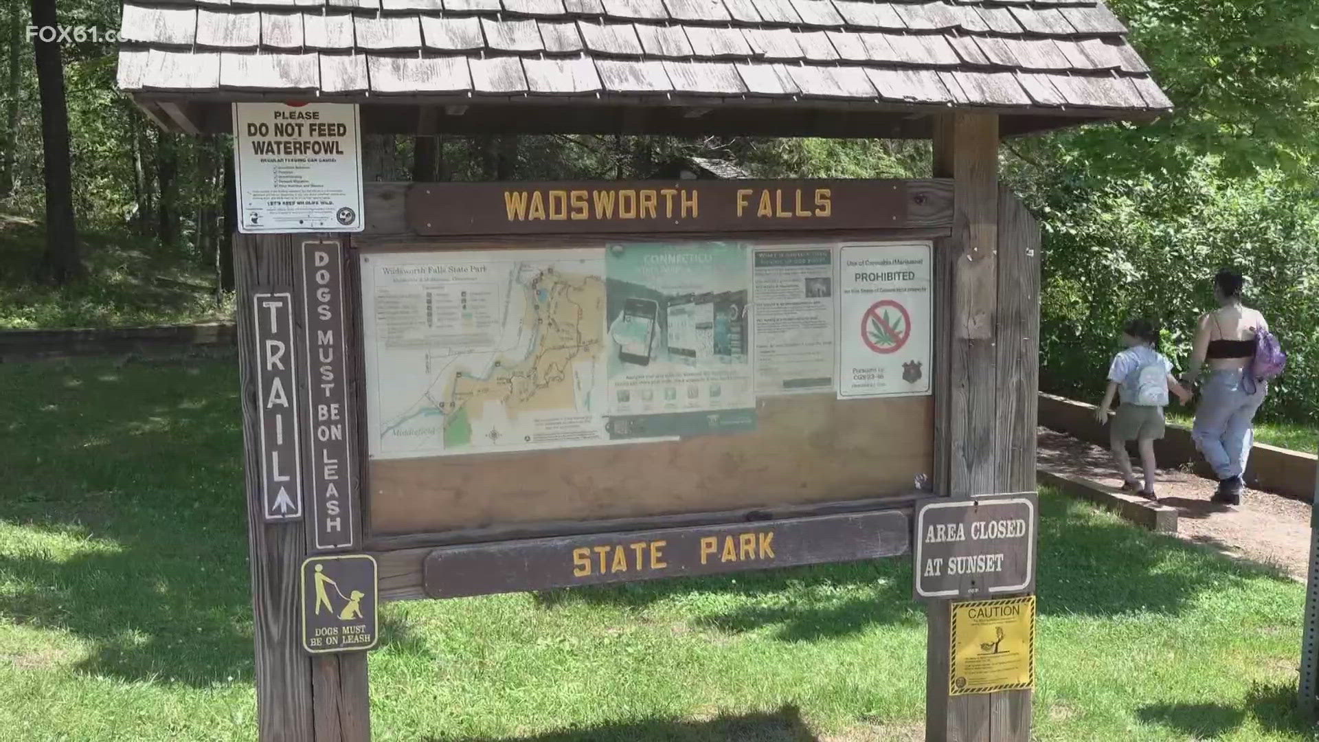 Experts offer advice for safe summer hiking | fox61.com