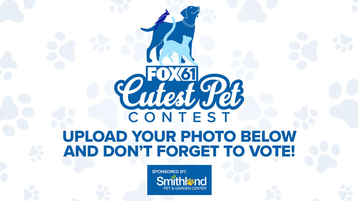 The FOX61 Cutest Pet Contest | fox61.com