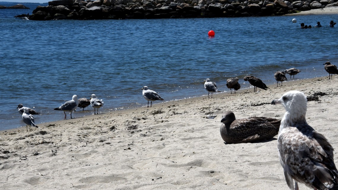 Ocean Beach in New London listed in top 25 beaches in country | fox61.com