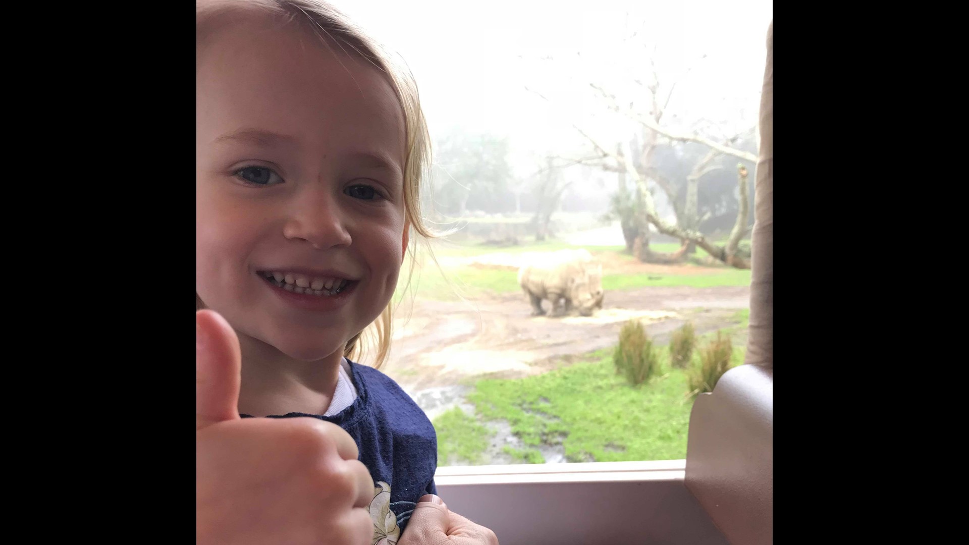 Meriden police arrest ‘Momo challenge woman’ to help little girl fall ...