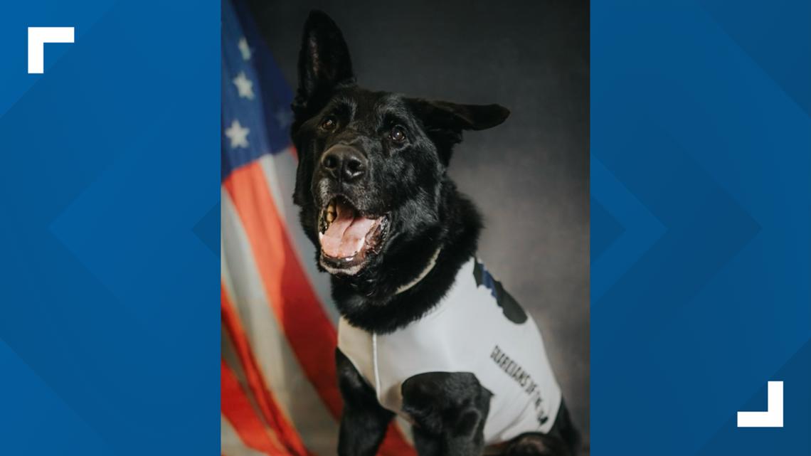 Connecticut State Police K-9 Drago passes away | fox61.com