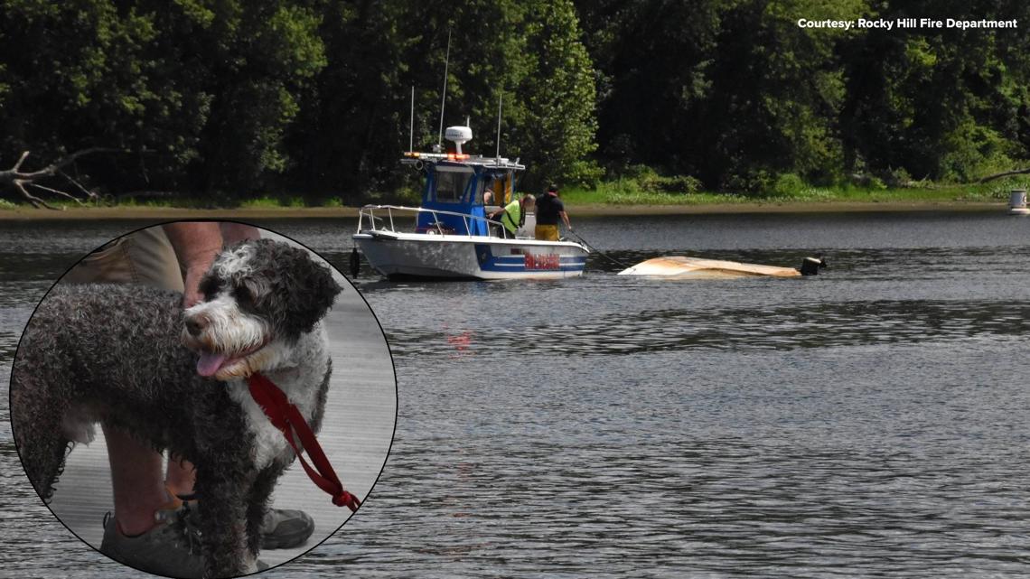 Connecticut River boat rescue; Good Samaritan saves dog, boater | fox61.com