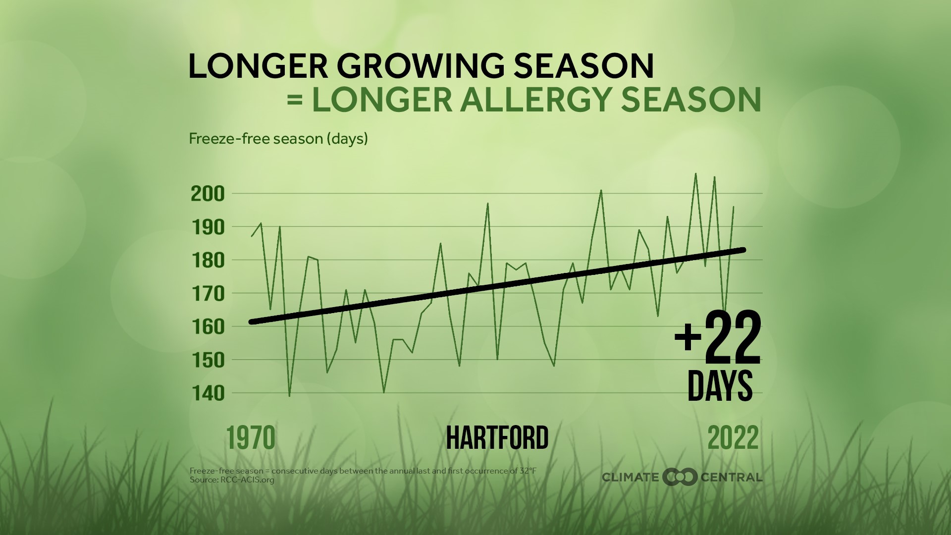 Pollen increases in New England causes allergy season extension | fox61.com