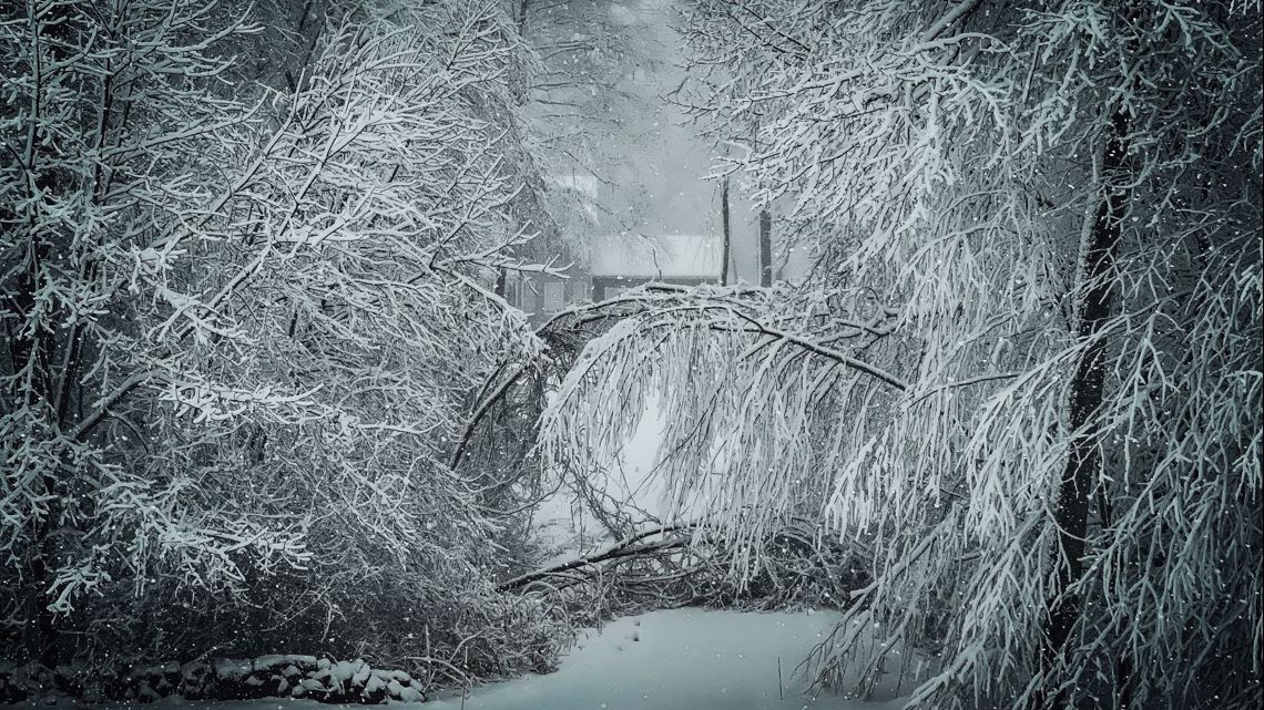 Connecticut digs out after winter storm rolls through the region ...