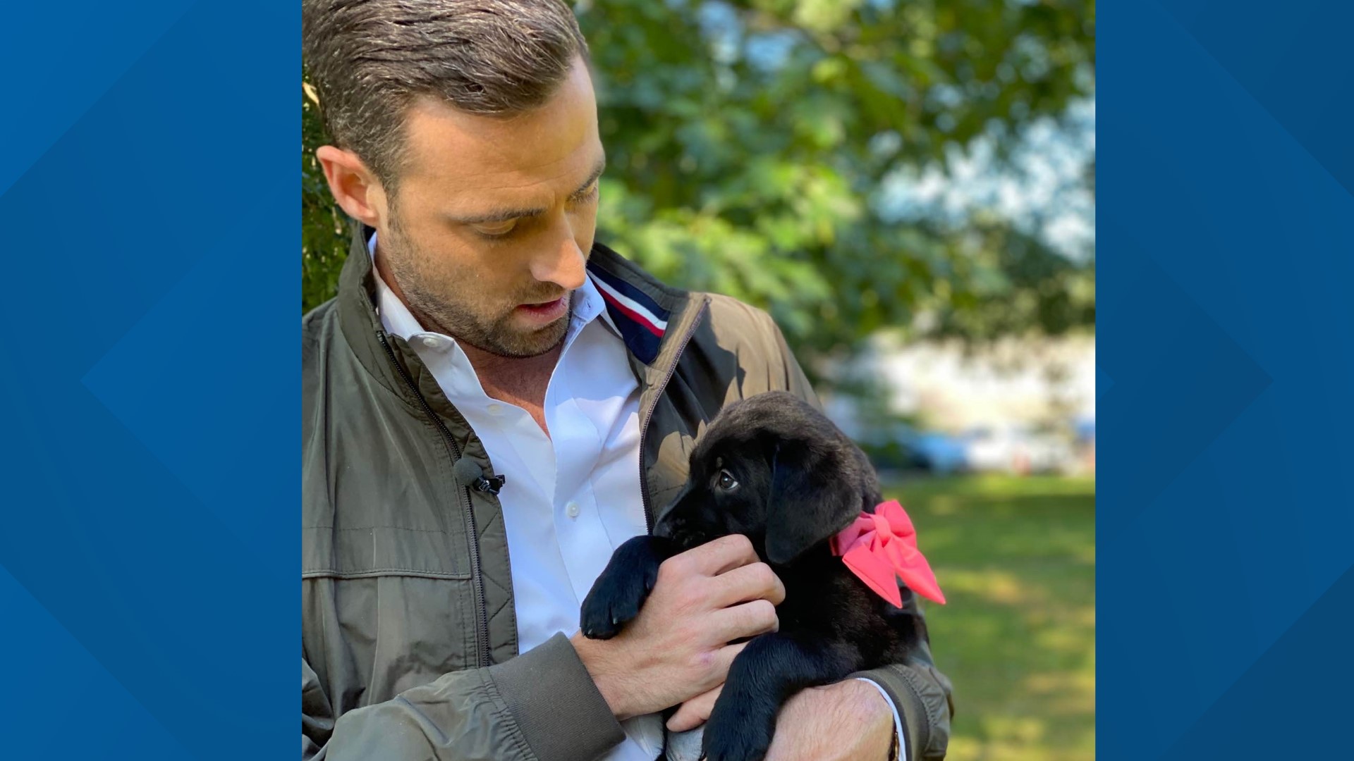 FOX61 viewers vote for name of NEADS service dog in training | fox61.com