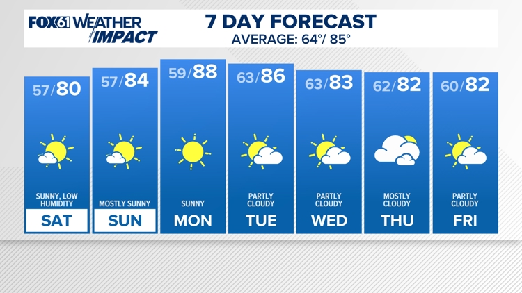 Woman finds her passion for painting at 104 years old | fox61.com