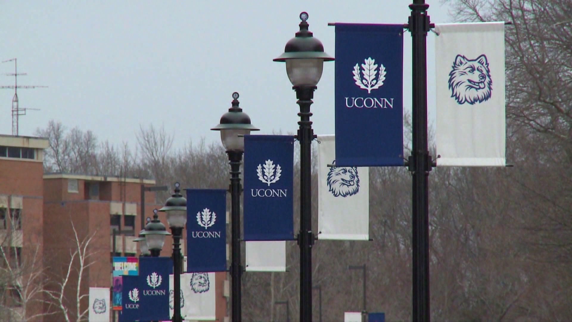 UConn student struck by car on Storrs campus | fox61.com