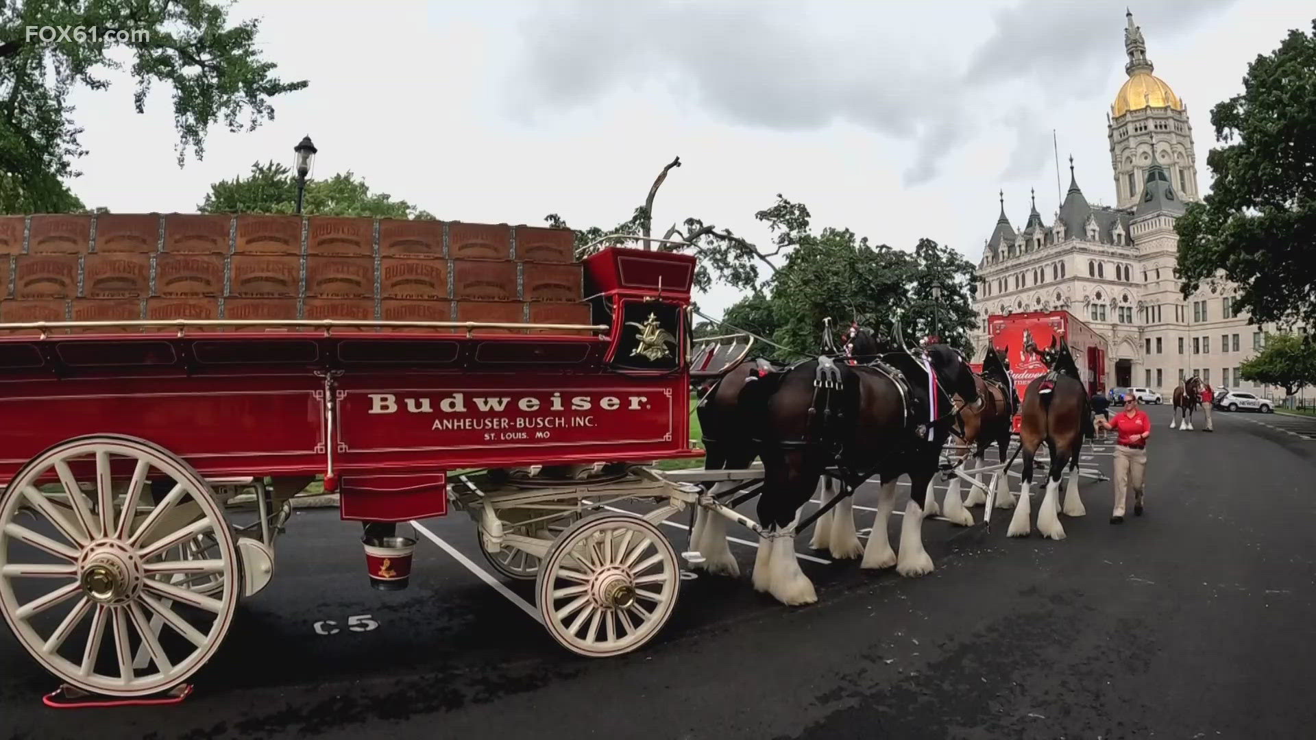 Budweiser Clydesdales visit Connecticut State Capitol | fox61.com