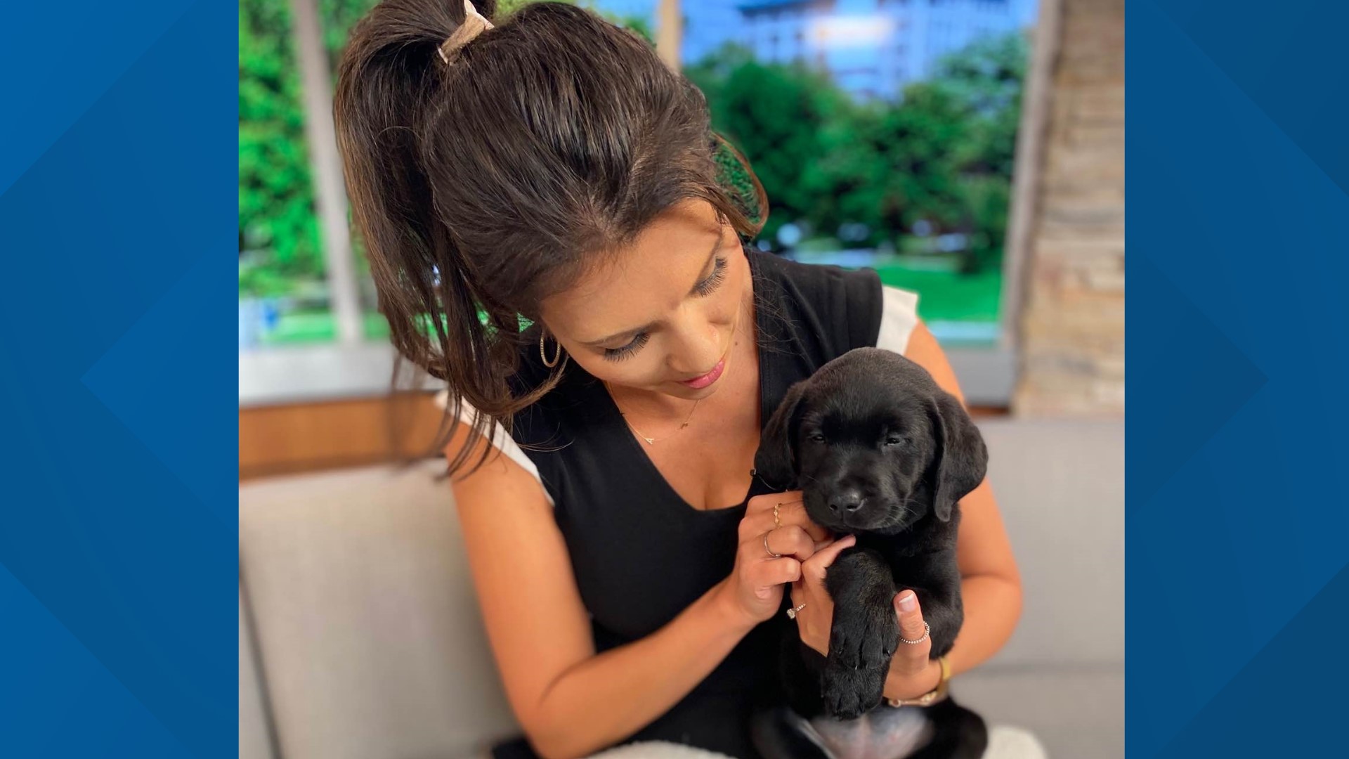 FOX61 viewers vote for name of NEADS service dog in training | fox61.com