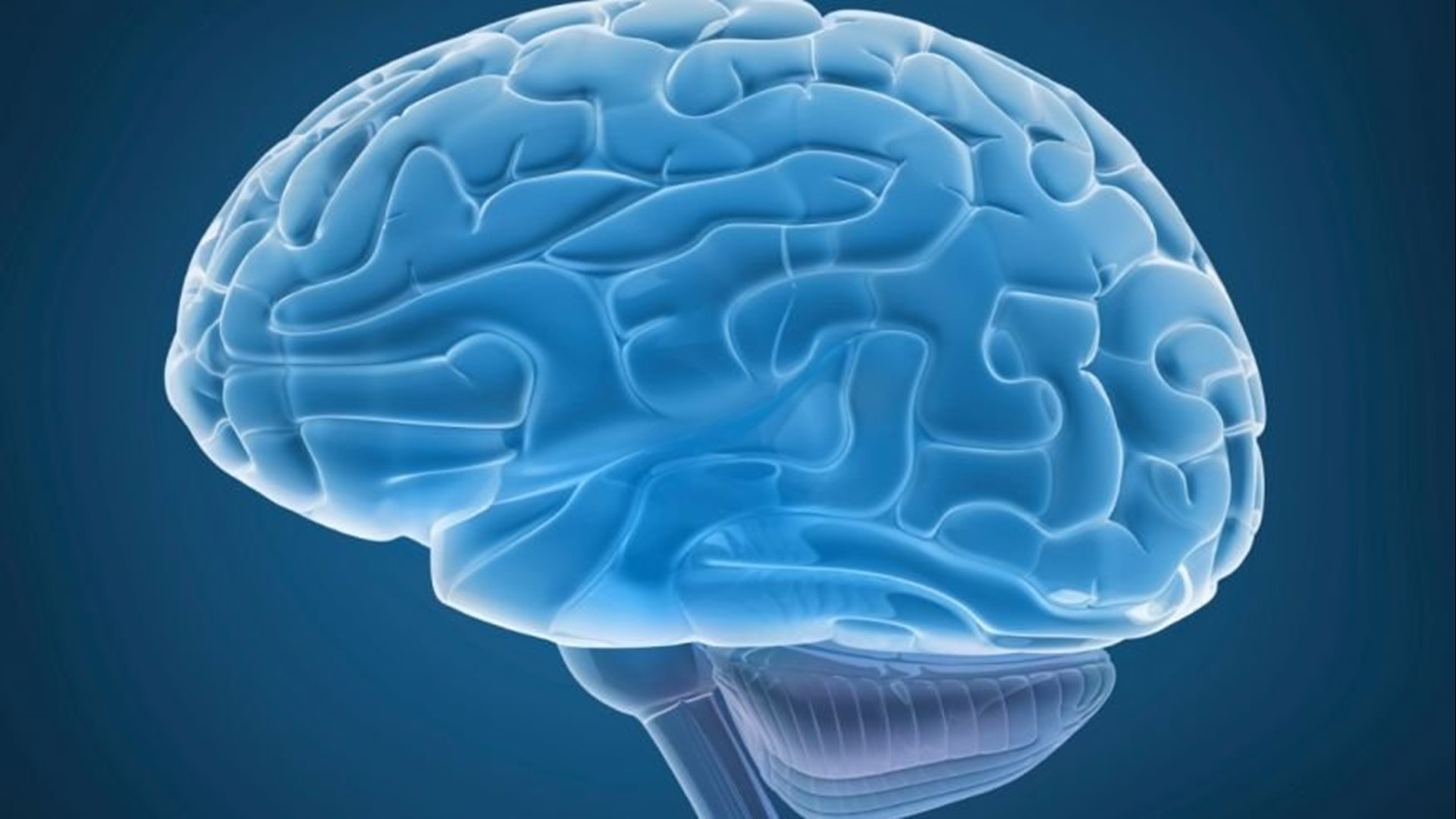 New study suggests brain glitch may cause OCD | fox61.com