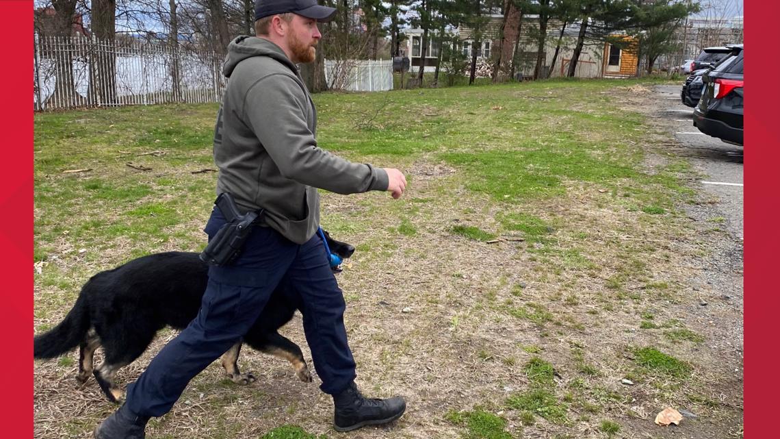 East Hartford officer teaches K9 cops from around the country | fox61.com