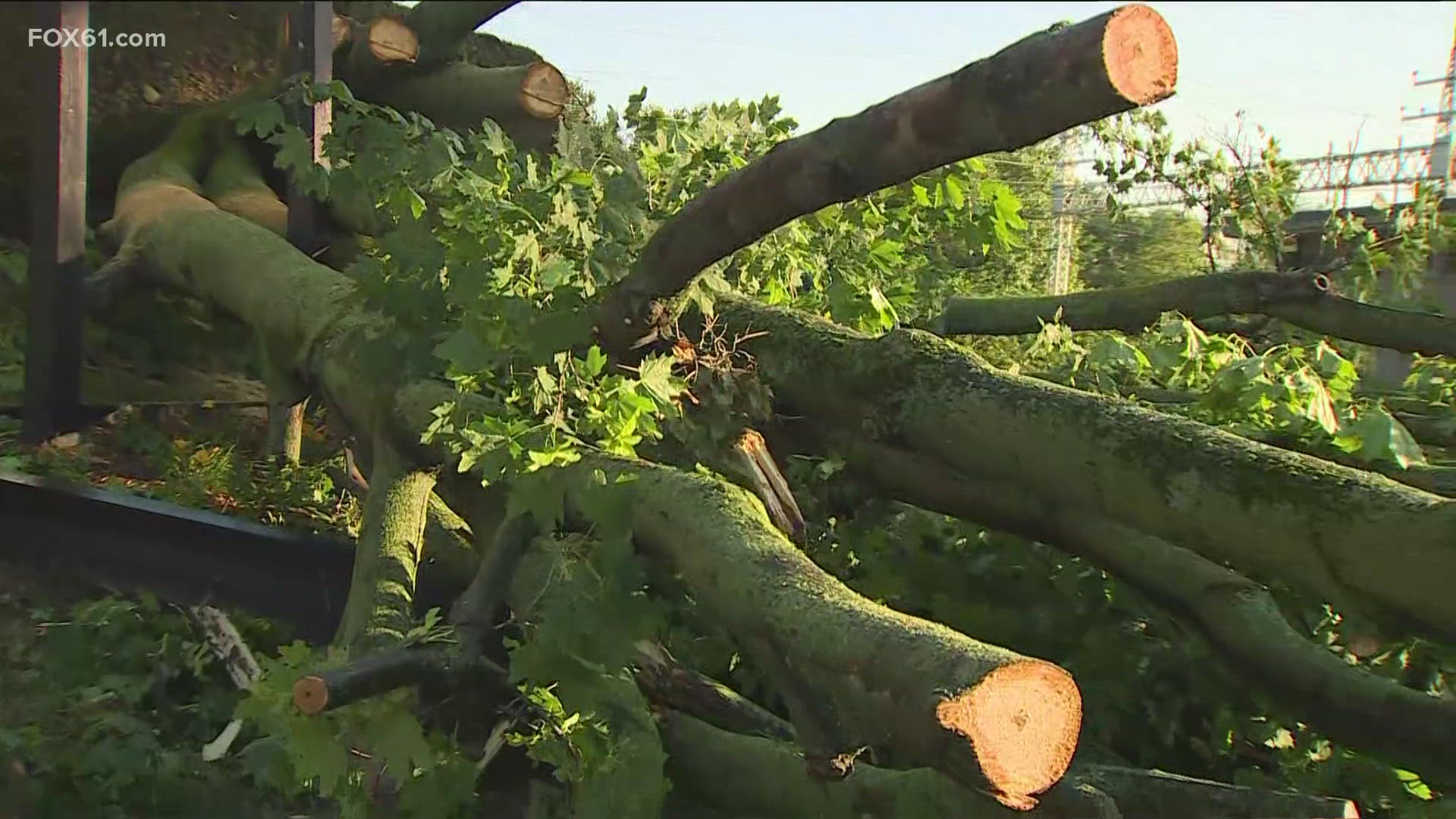 Summer storm causes power outages, road closures across Connecticut ...