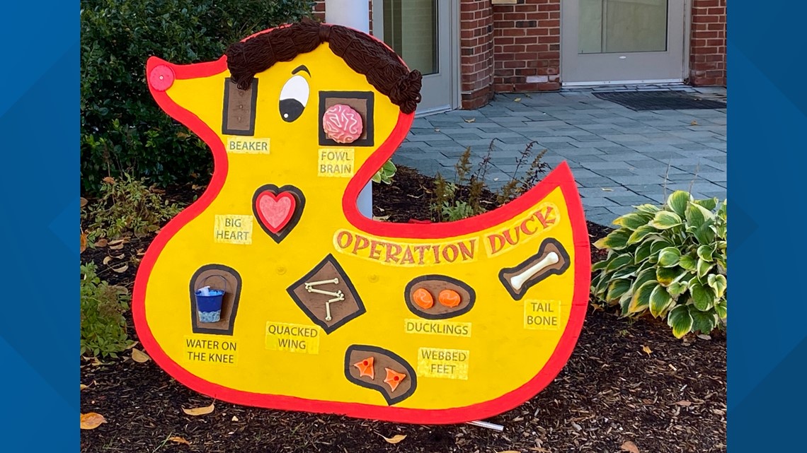 What the Duck? Photos of Middletown displays for goPink | fox61.com