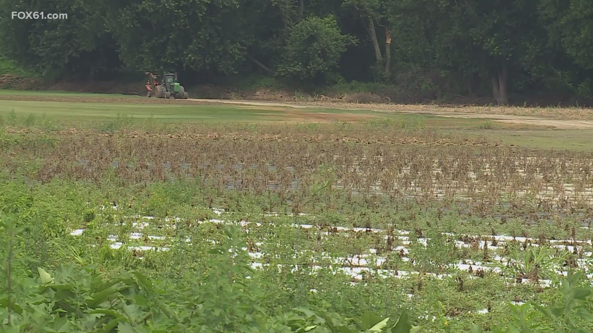 Local farm devastated by flooding | fox61.com