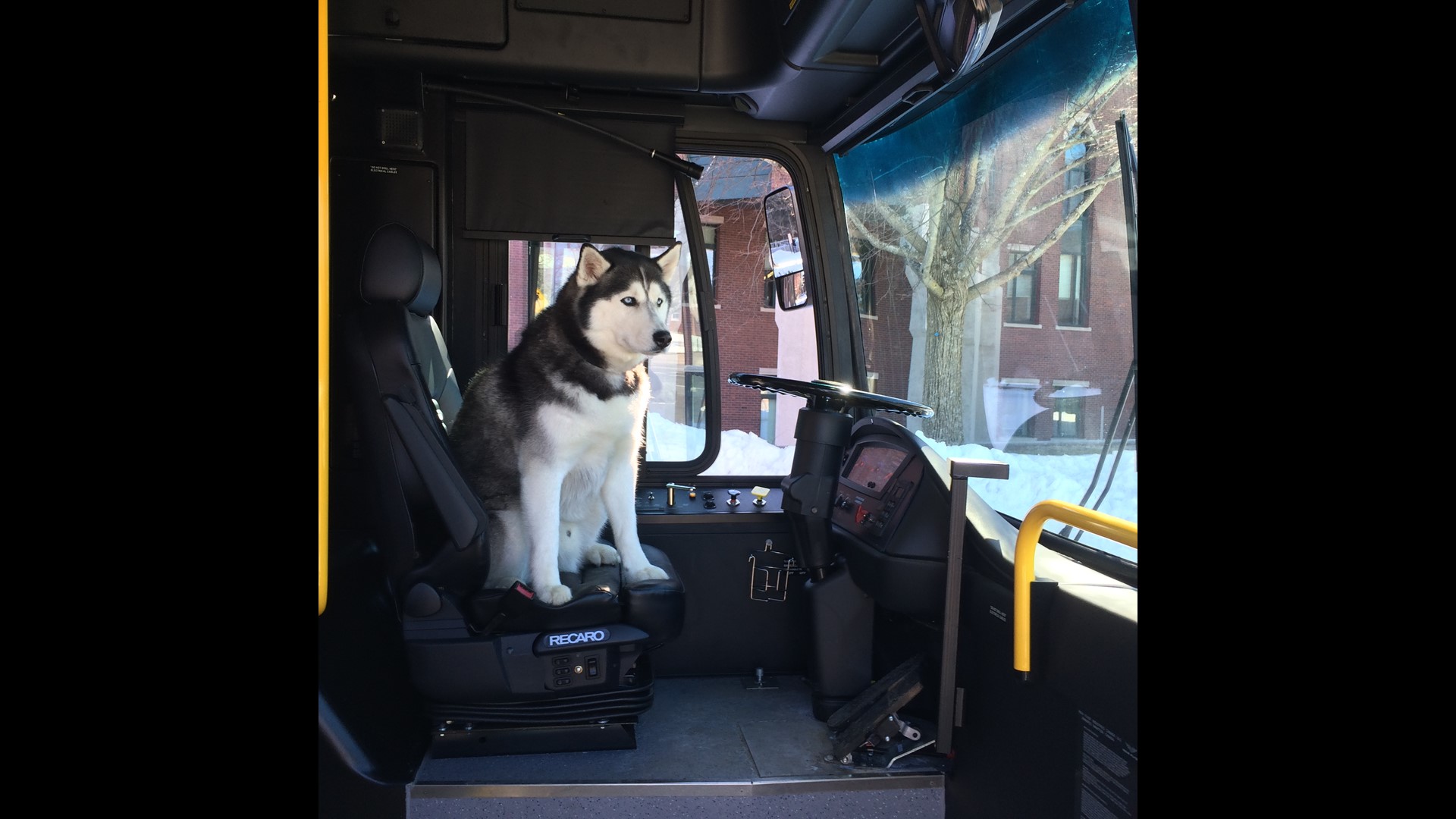 UConn shows off fleet of new high-tech buses | fox61.com