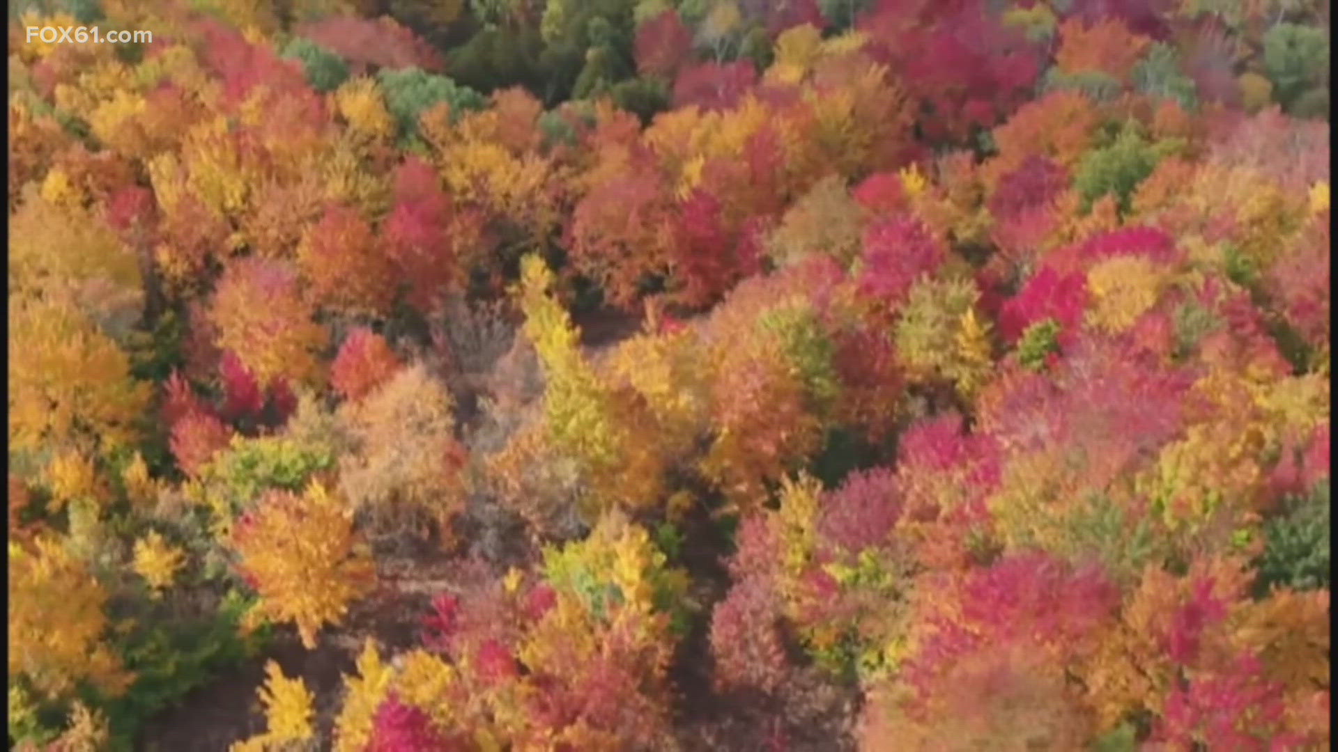 When and where to see fall foliage in Connecticut | fox61.com