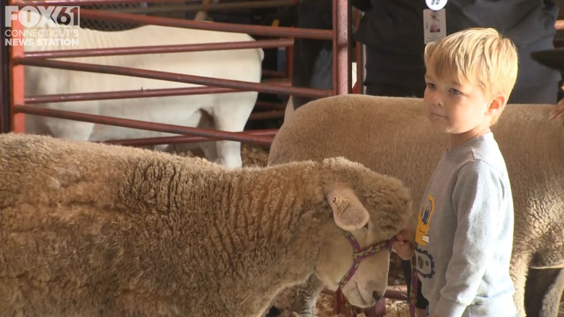 Fun family activities at the Durham Fair | fox61.com