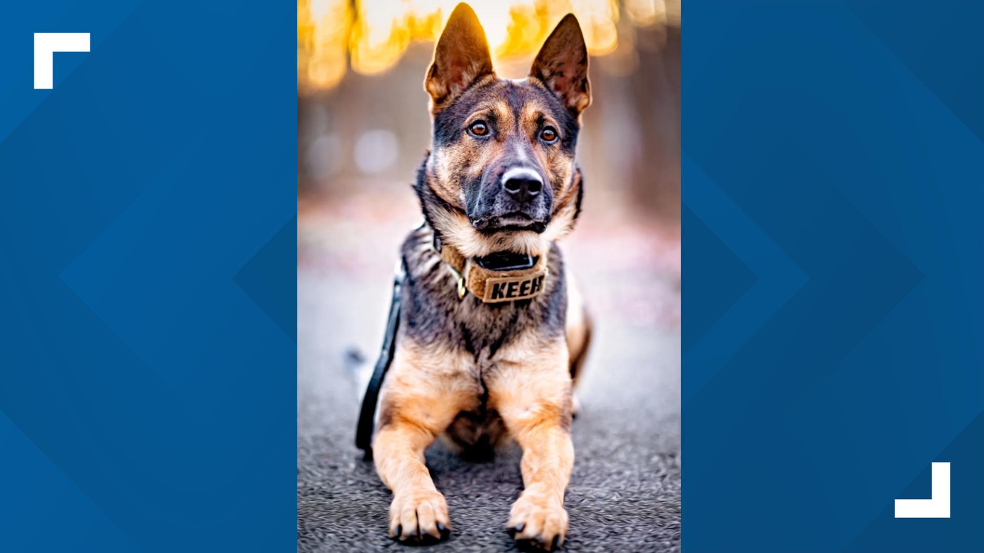 Harlows Heroes honors retired police dogs in Connecticut | fox61.com