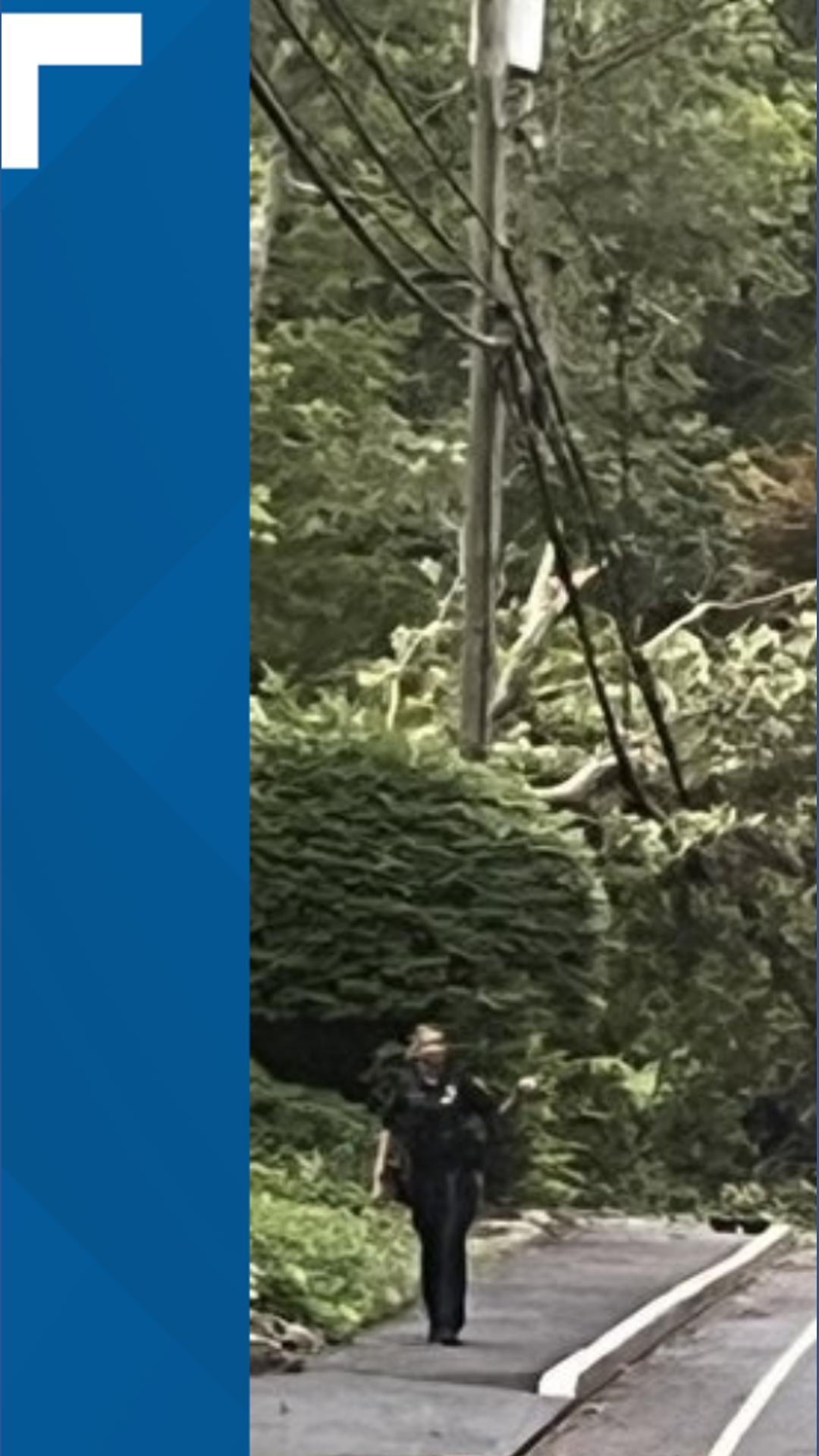Summer storm causes power outages, road closures across Connecticut ...