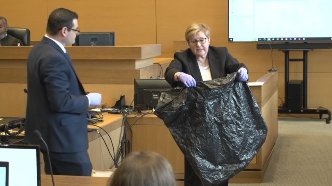 Forensic blood test evidence testimony | Michelle Troconis trial ...