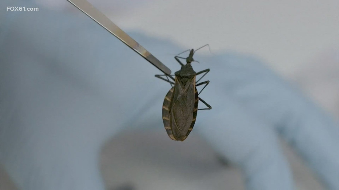 Health Watch | Seasonal depression, asthma, and 'kissing bug disease ...