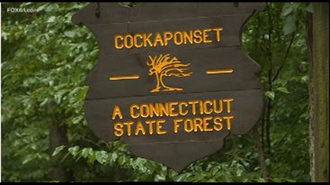 Cockaponset State Forest in Chester reopens after police investigation ...