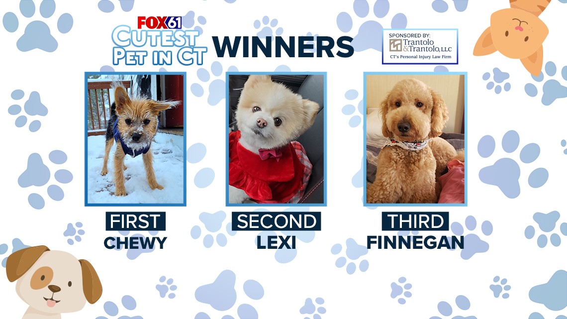 FOX61 Cutest Pet in CT Contest | fox61.com