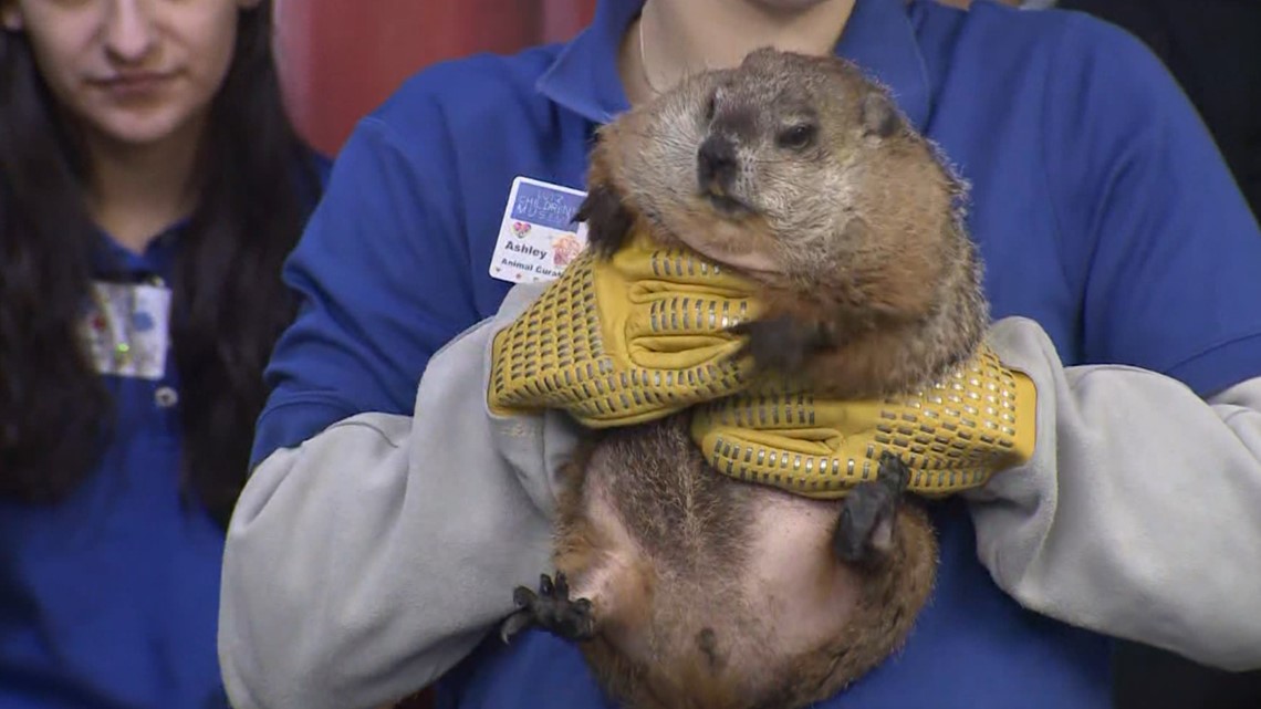 Connecticut's animals make their Groundhog Day weather picks | fox61.com