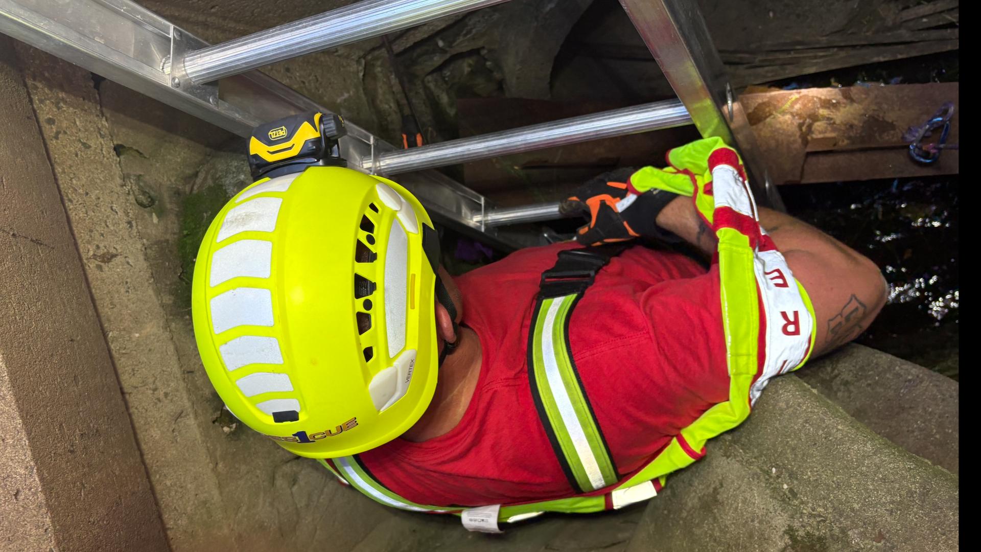 Tiny ducklings, big rescue: Vernon firefighters brave storm drain to ...