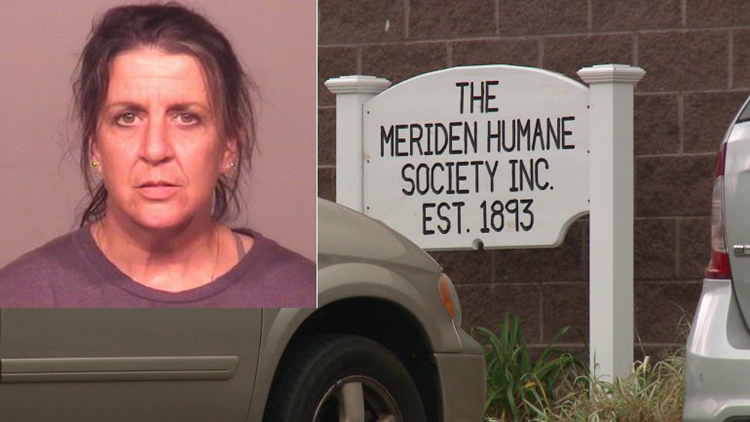 Meriden Humane Society director removed from position amid criminal ...