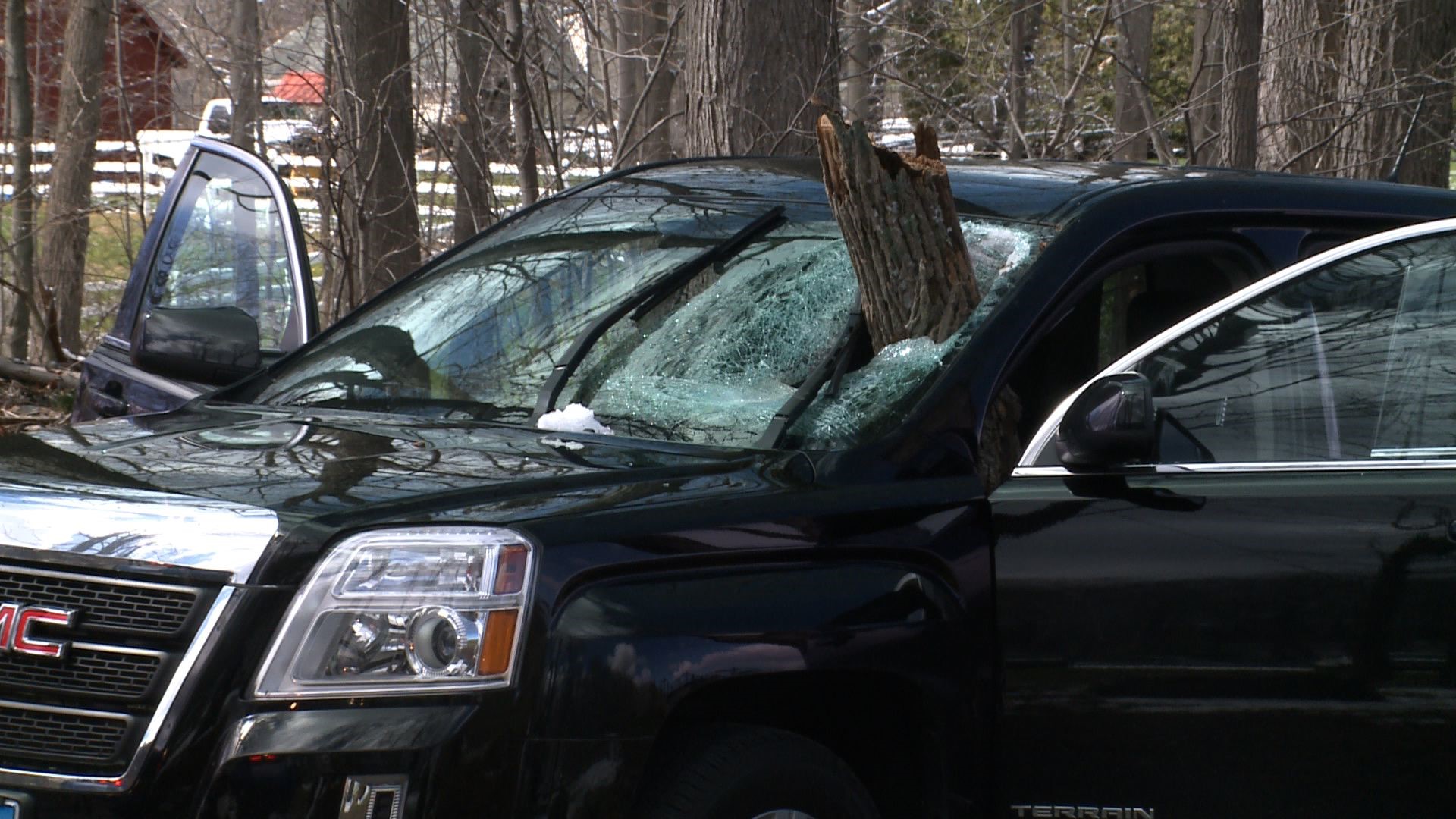 Tree limb goes through windshield of SUV in Southington | fox61.com