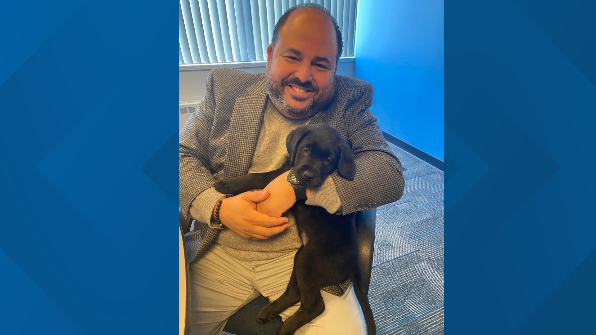 FOX61 viewers vote for name of NEADS service dog in training | fox61.com