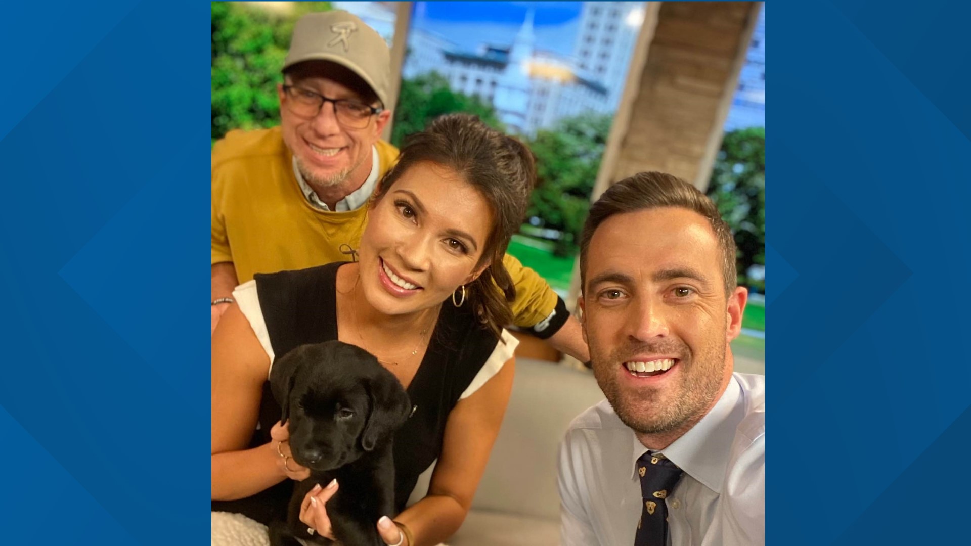 FOX61 viewers vote for name of NEADS service dog in training | fox61.com