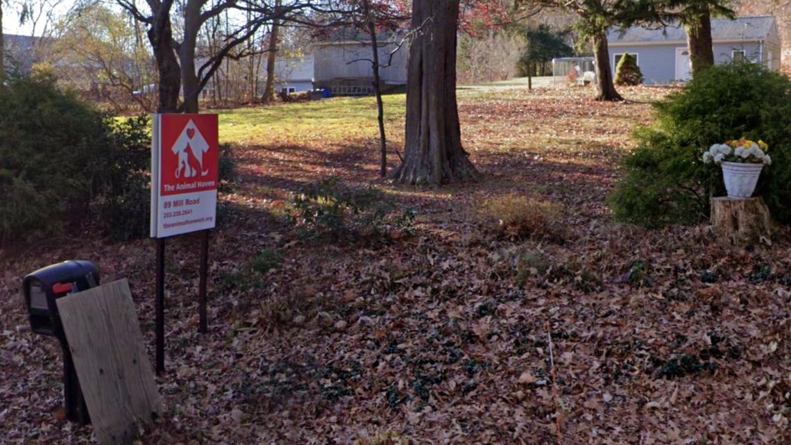 Dog euthanized after mauling volunteer’s face at Connecticut animal ...